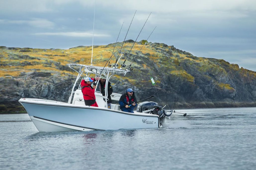 Mako 214 CC, A small and elegant Fishing Solid As A Rock